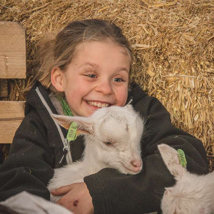 Lammetjes dagen – 't Leenhof